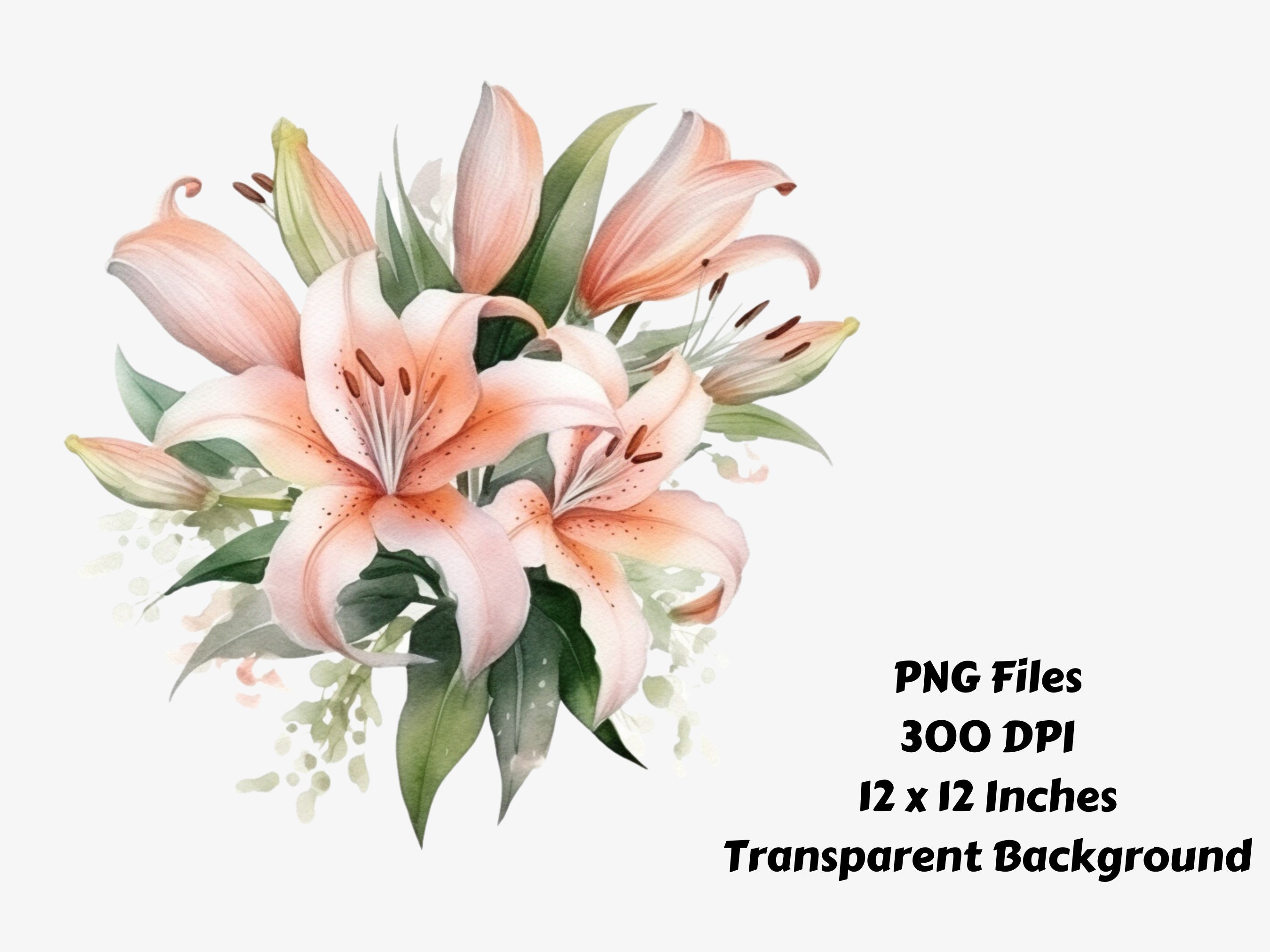 Watercolor Lily Clipart Lilly PNG Lily Sublimation Watercolor Flower ...