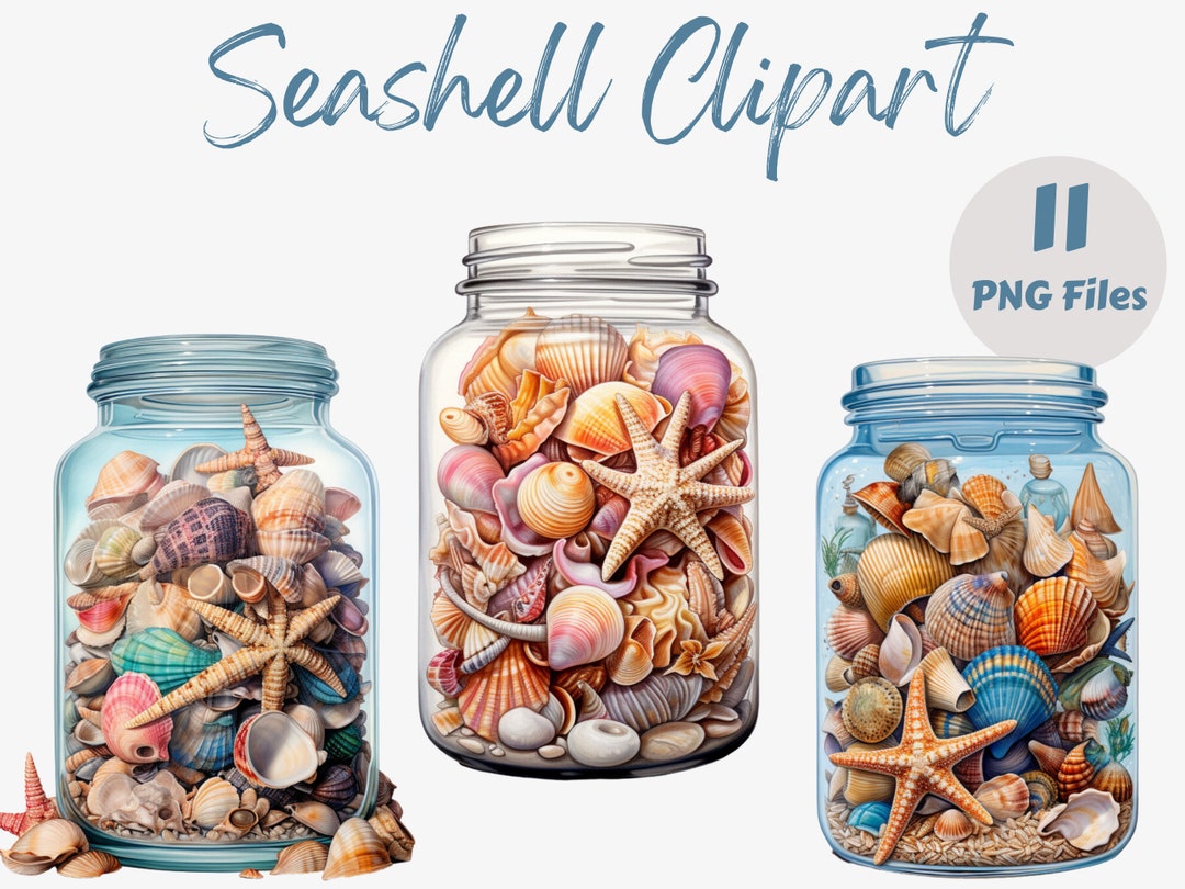Watercolor Seashell Clipart Bundle | Seashell PNG | Jar of Shells ...