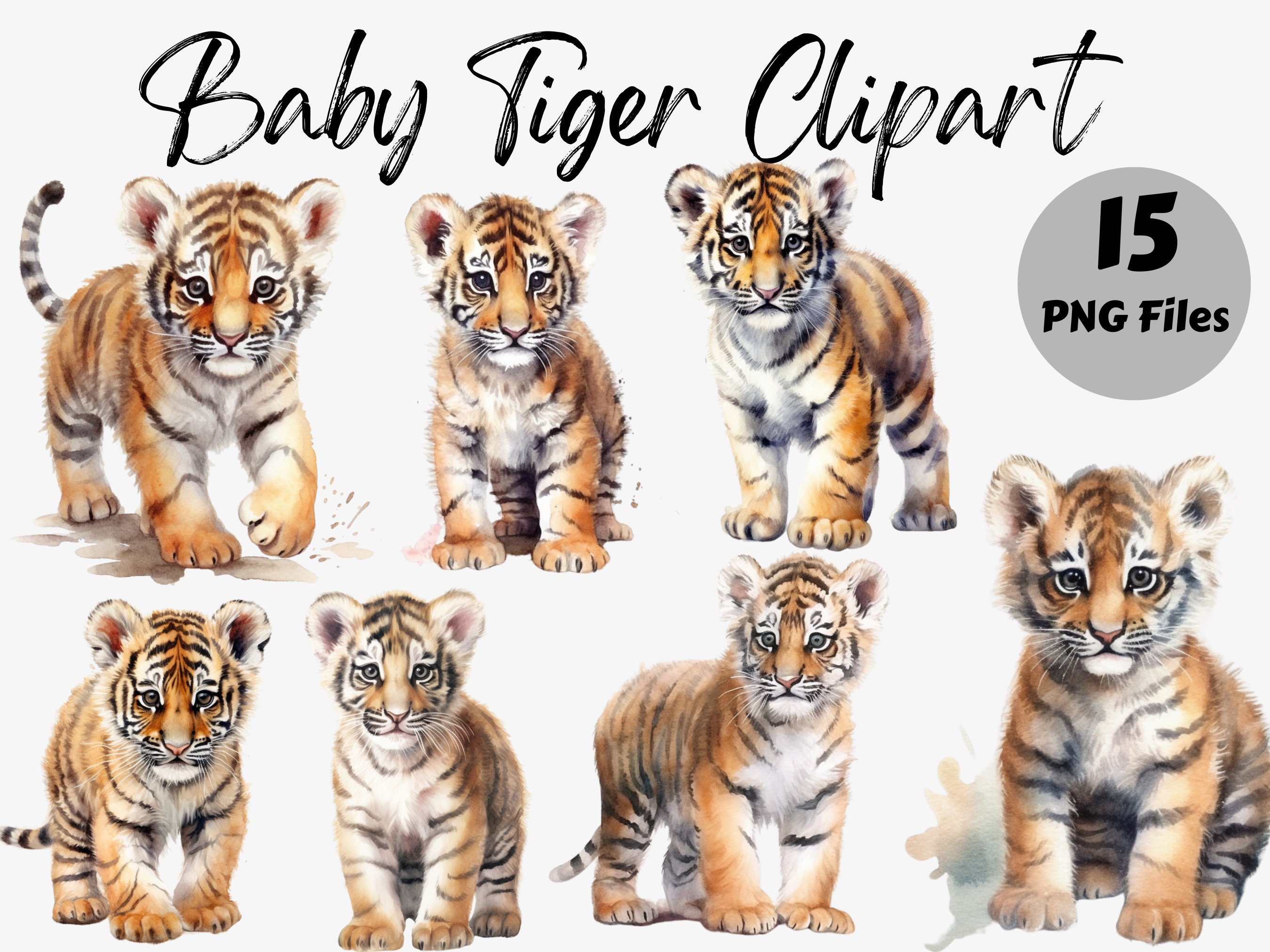 Watercolor Baby Tiger Clipart Tiger PNG Baby Animal PNG - Etsy