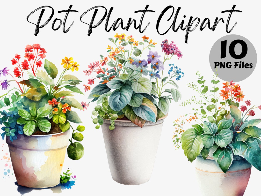 Watercolor Pot Plant Clipart Bundle | Pot Plant Digital Images | Pot ...
