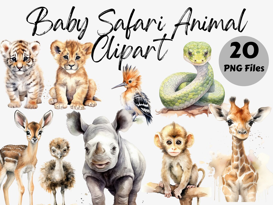 Watercolor Baby Safari Animal Clipart Bundle Animal PNG - Etsy