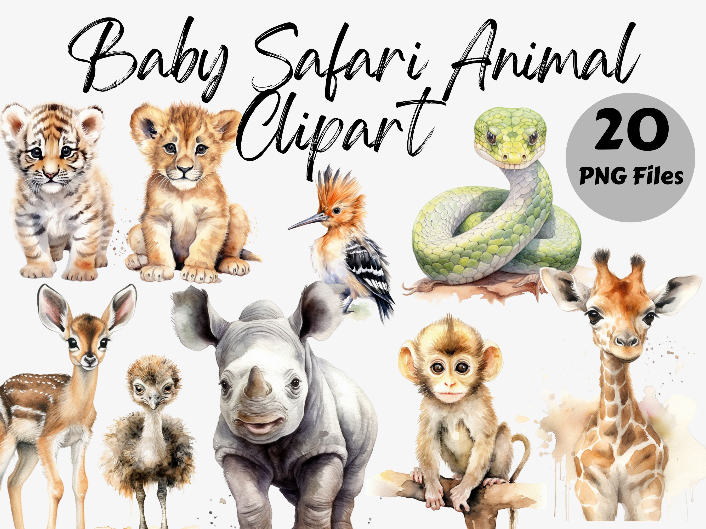 Watercolor Baby Safari Animal Clipart Bundle Animal PNG - Etsy