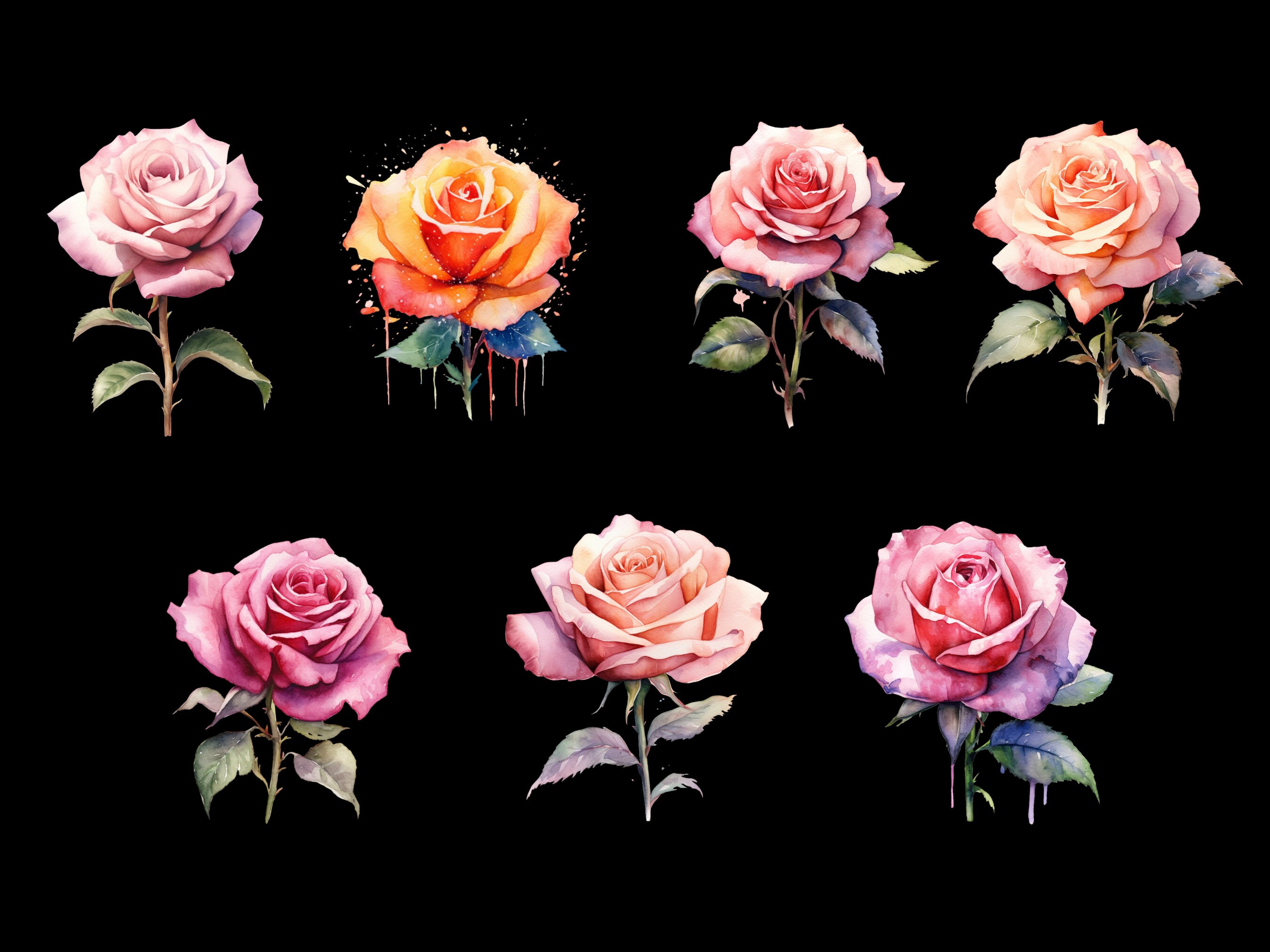 Watercolor Single Rose Clipart Bundle Rose PNG Sublimation Rose Graphic ...