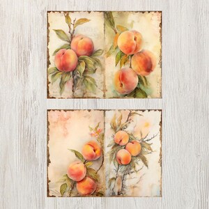 Peach Junk Journal Pages Printable Vintage Paper Craft Paper for ...