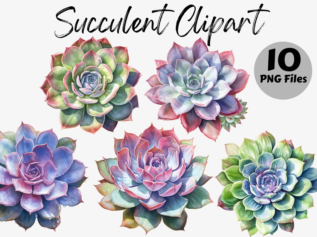 Watercolor Succulent Clipart | Succulent Digital Images | Watercolor ...