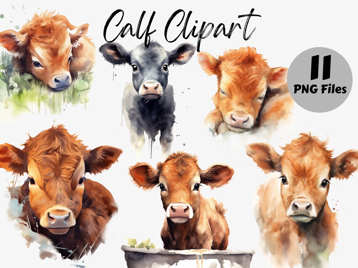 Watercolor Calf Clipart Bundle | Calf Digital Images | Animal Graphics ...