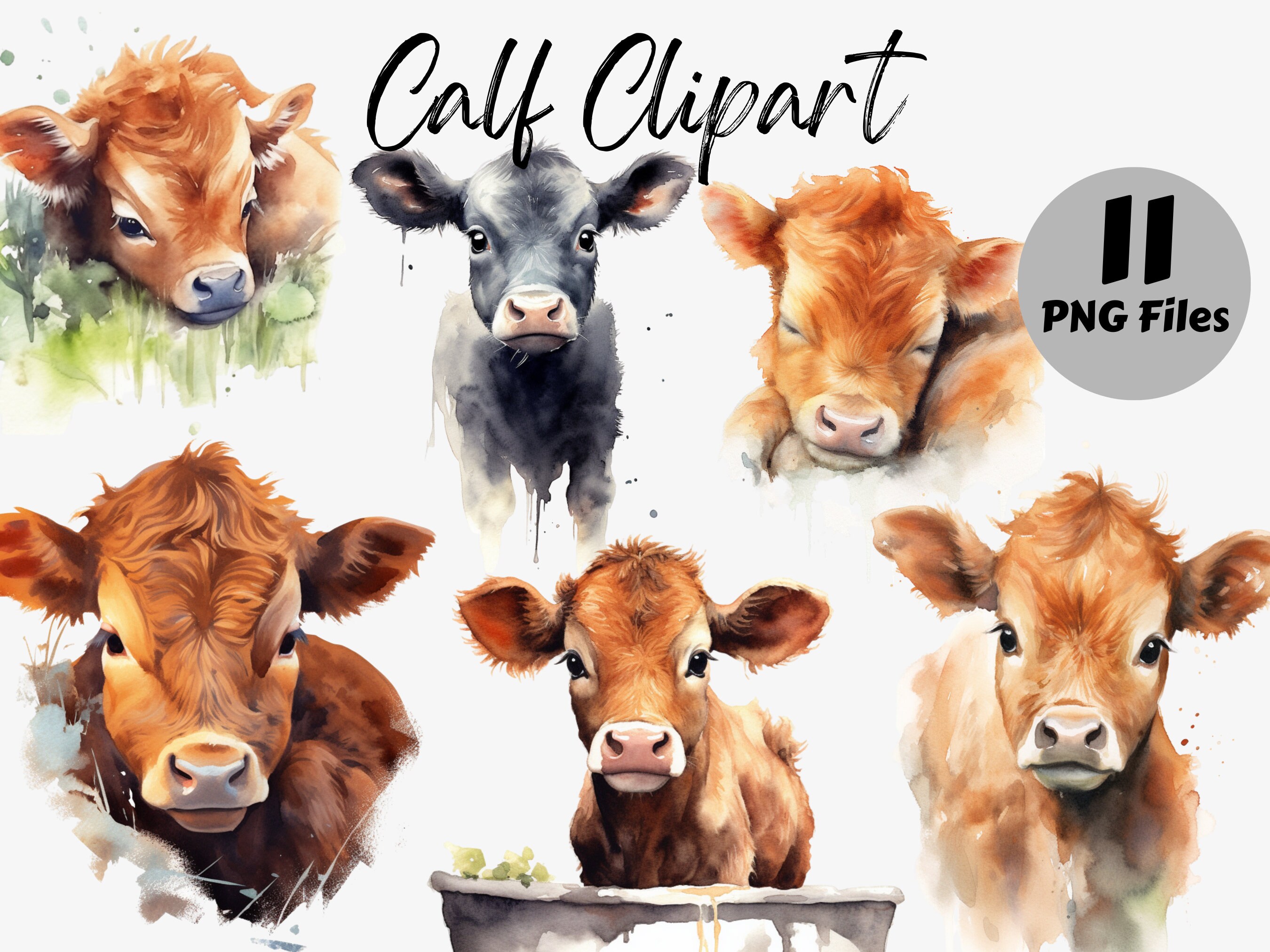 Watercolor Calf Clipart Bundle Calf Digital Images Animal Graphics Calf ...