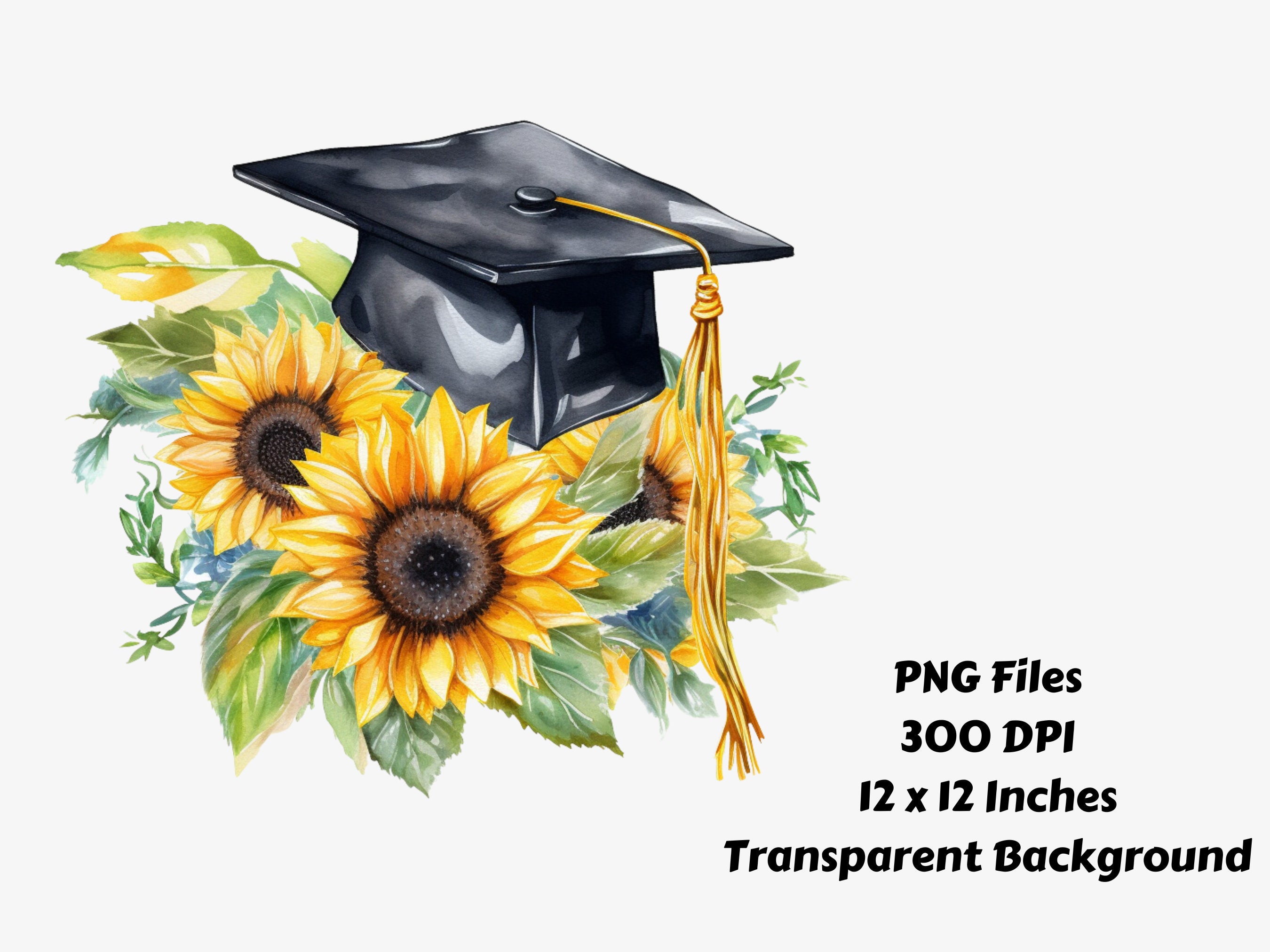 Watercolor Sunflower Graduation Cap Clipart Bundle Graduation Digital ...