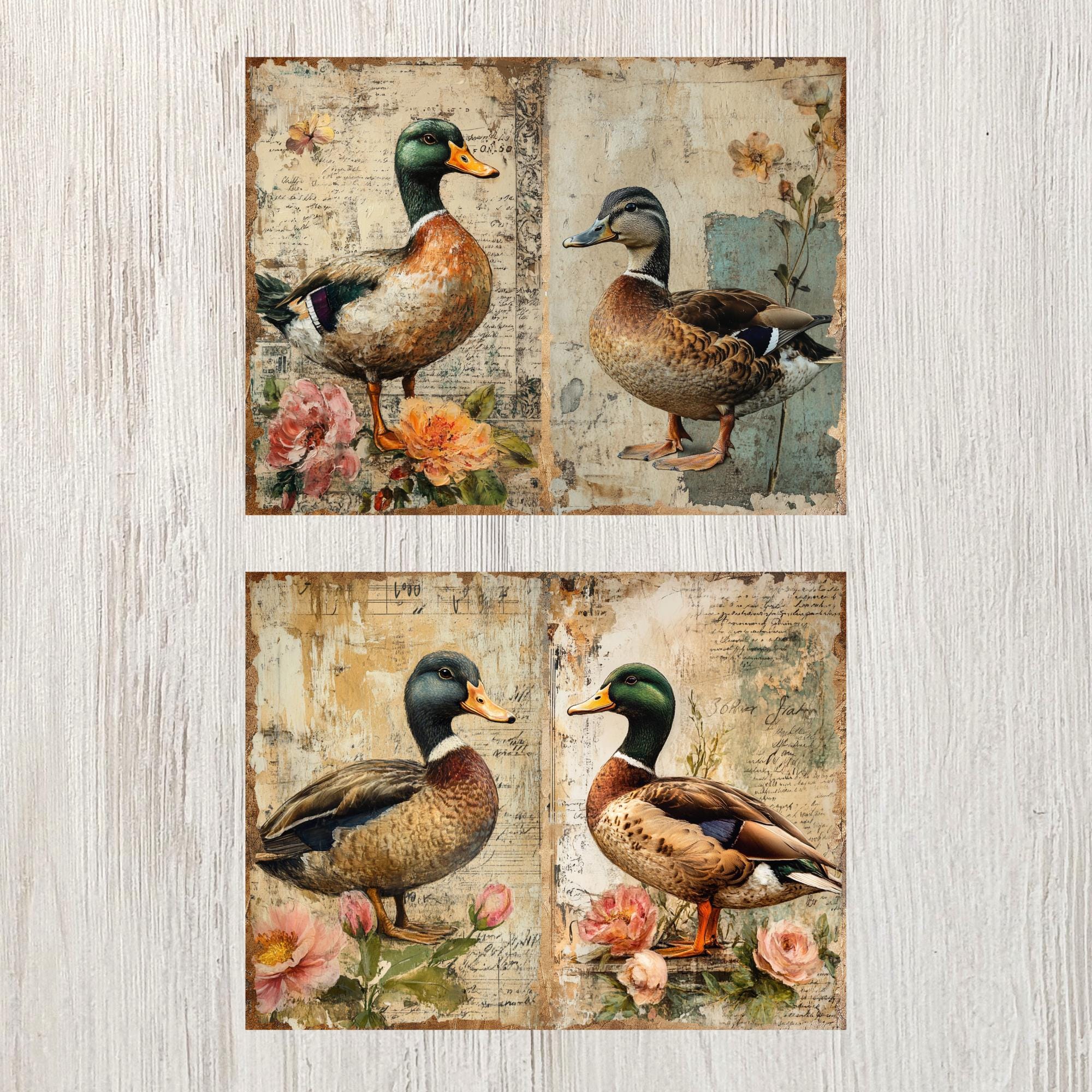 Duck Junk Journal Papers Kit Animal Ephemera Printable Download Mixed ...
