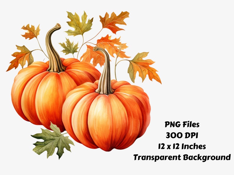 Watercolor Pumpkin PNG Clipart Bundle | Halloween PNG | Pumpkin ...