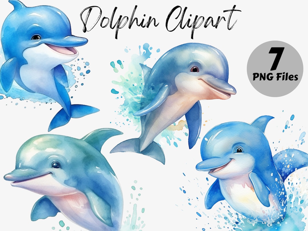 Watercolor Dolphin Clipart Bundle | Dolphin Digital Images | Dolphin ...