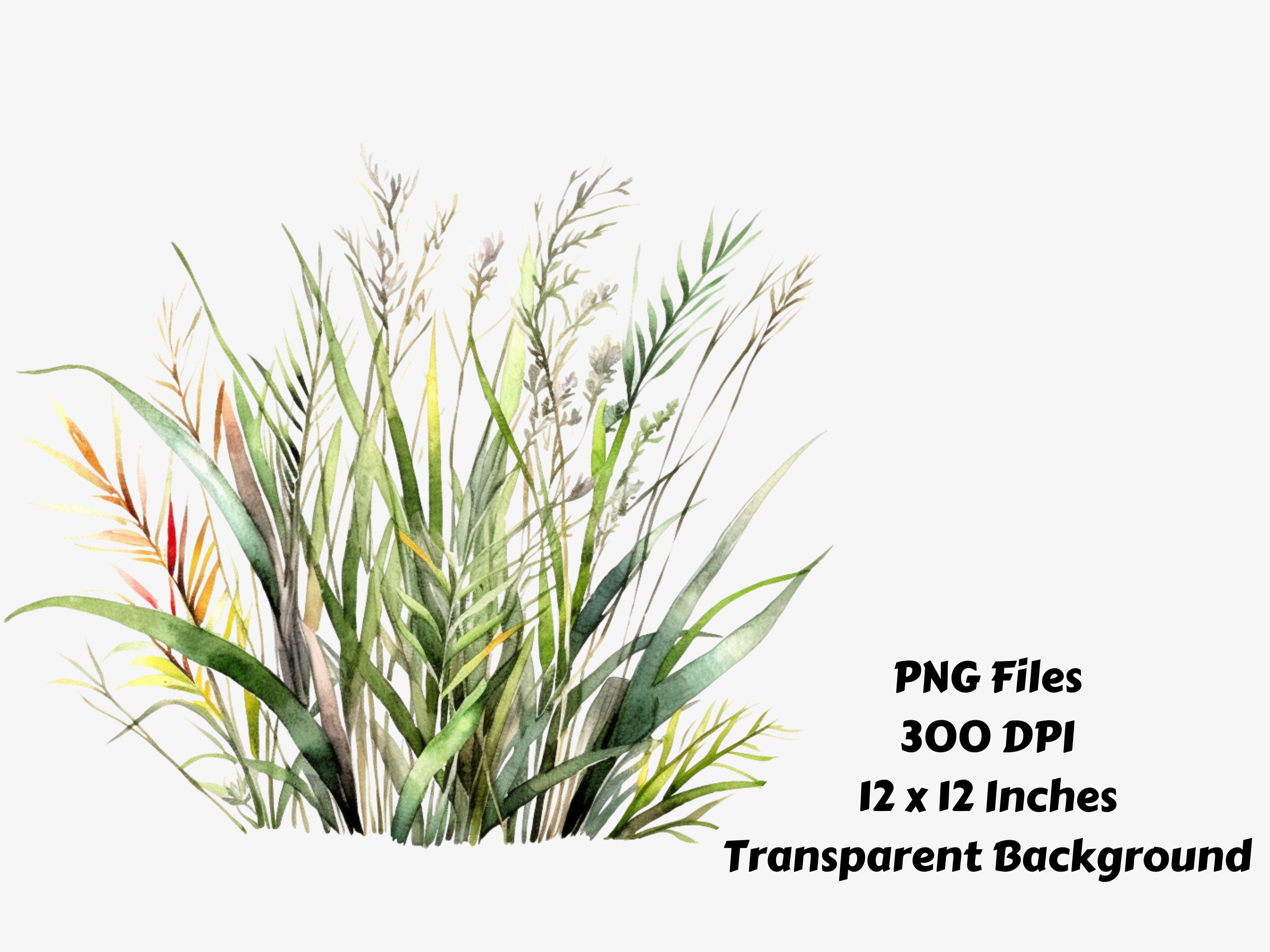 Grass Clipart Bundle Grass Sublimation Green Meadow Graphics Grass PNG ...