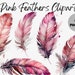 Watercolor Pink Feather Clipart Bundle Feather Digital Images Pink ...
