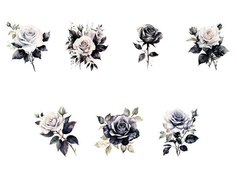 Watercolor Black and White Rose Clipart Bundle Rose PNG Black Rose ...
