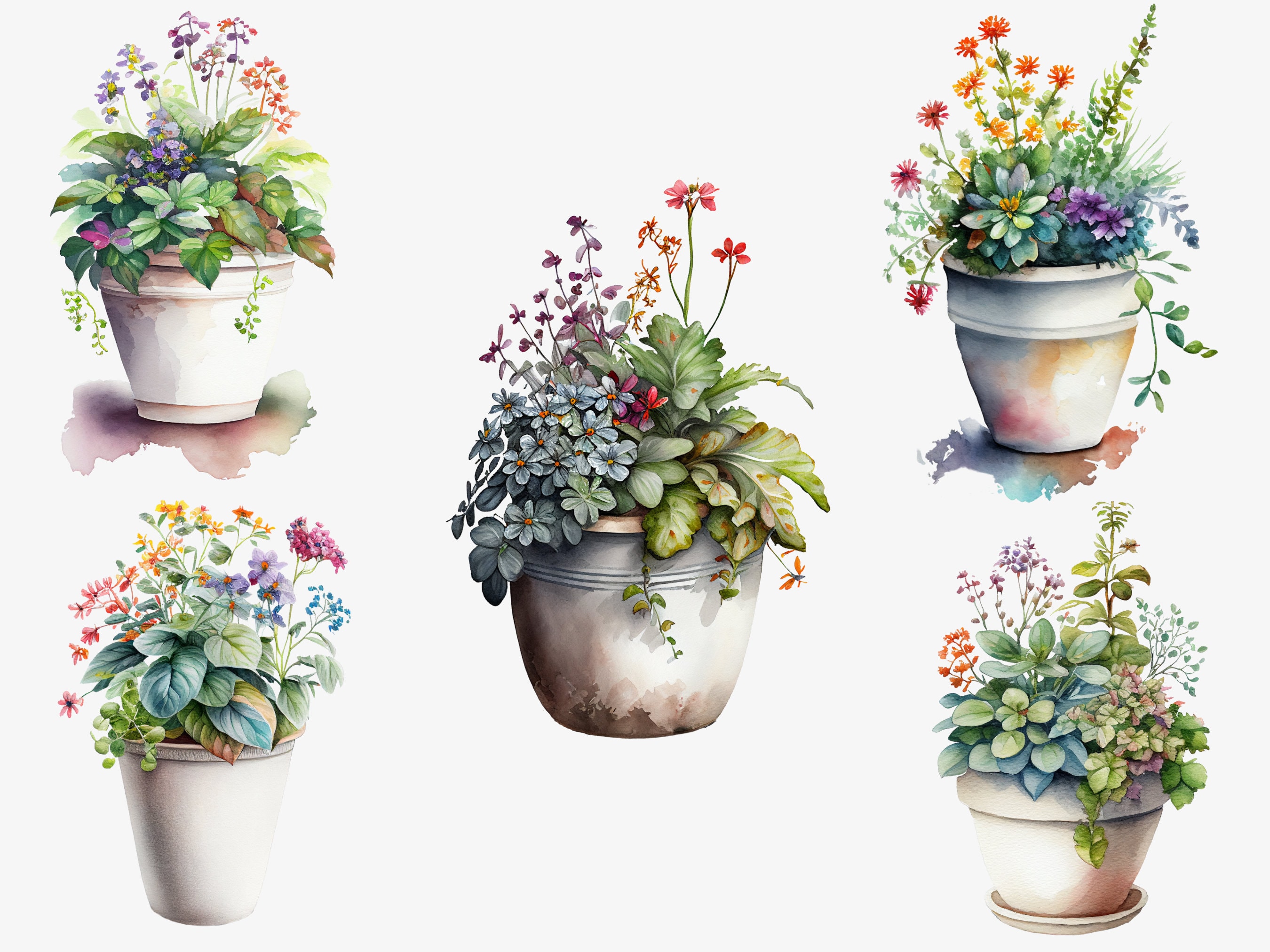 Watercolor Pot Plant Clipart Bundle Pot Plant Digital Images Pot Plant ...