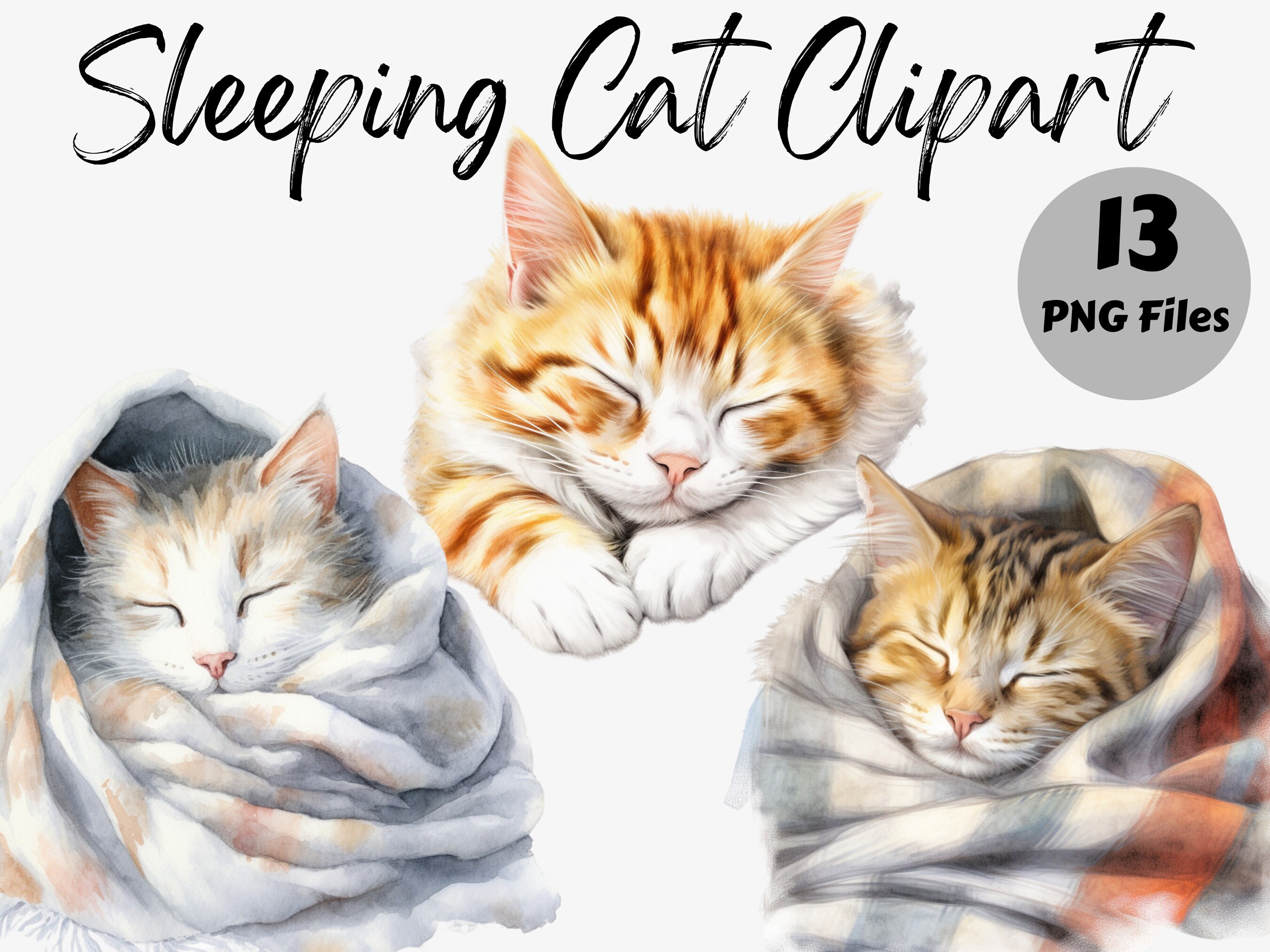 Watercolor Sleeping Cat Clipart Bundle Watercolor Cat PNG Cute Kitten ...