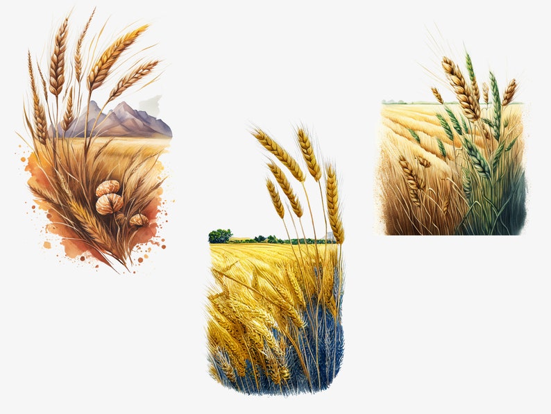 Watercolor Wheat Field Clipart Wheat Field Digital Images Graphics ...