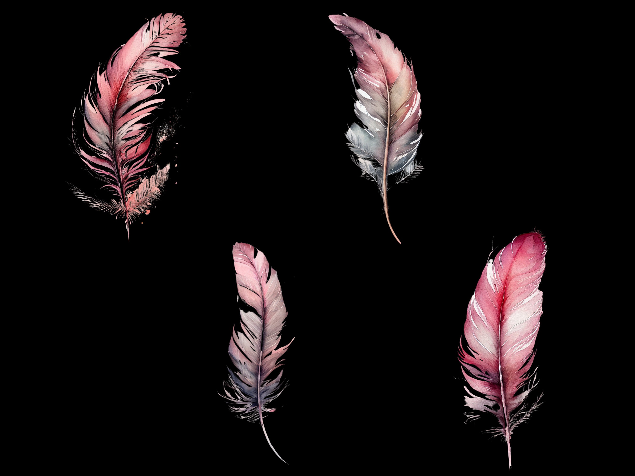 Watercolor Pink Feather Clipart Bundle | Feather Digital Images | Pink ...