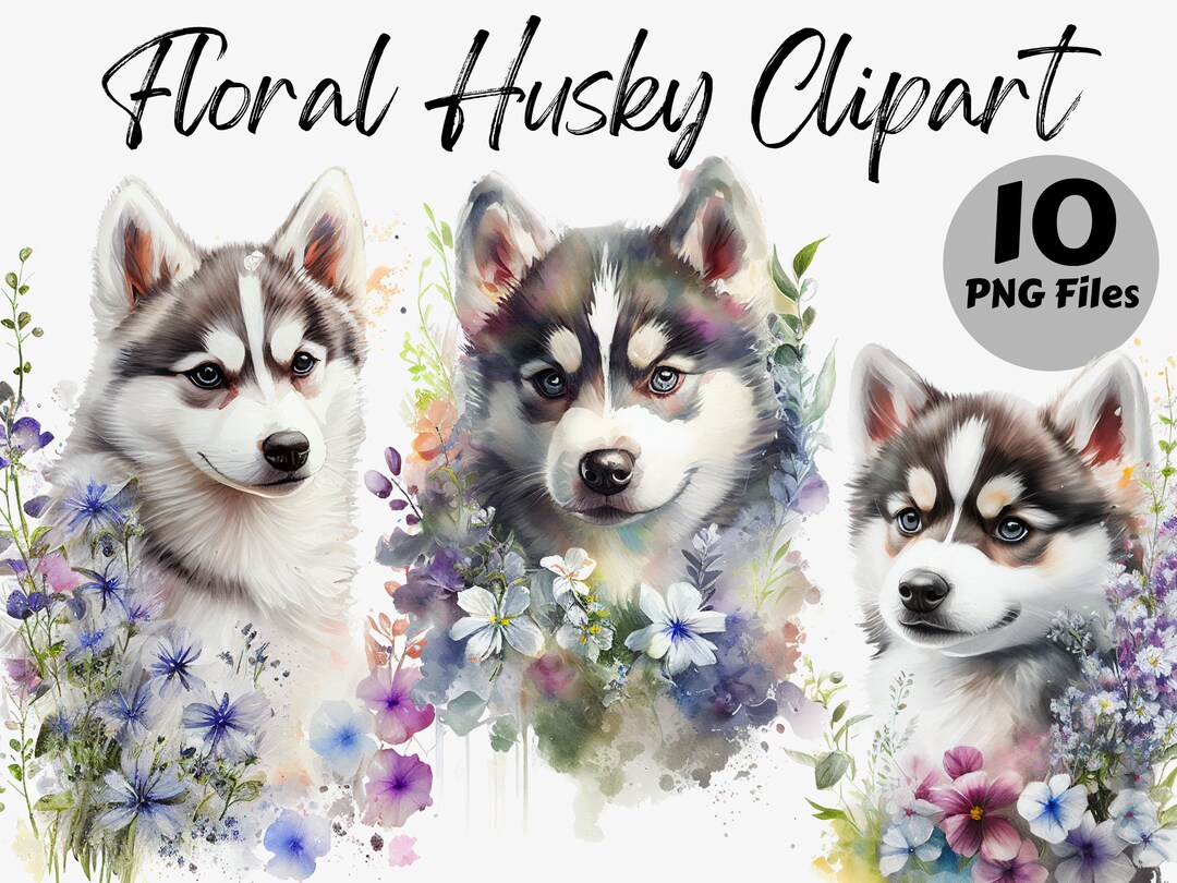 Watercolor Floral Husky Clipart Bundle | Floral Husky Digital Images ...