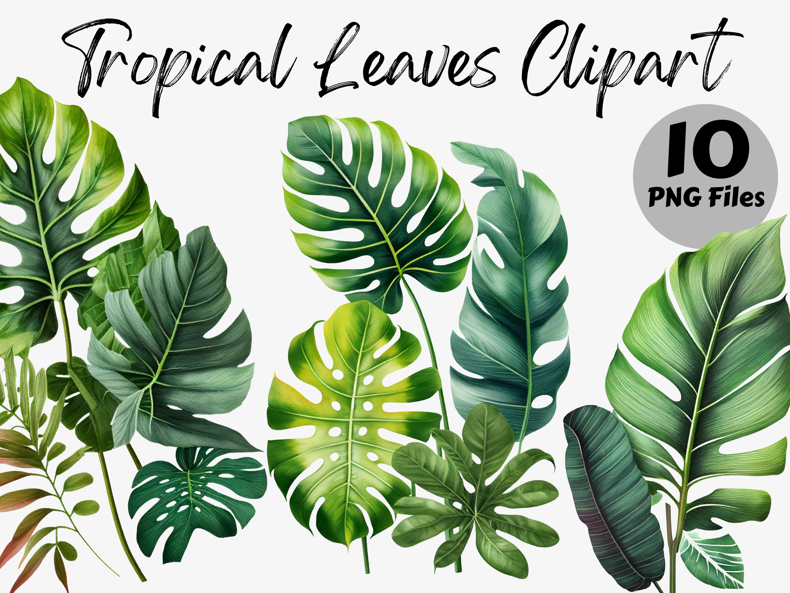 Palm Leaves Clip Art Tropical Leaf Clip Art Images – Browse 149,287