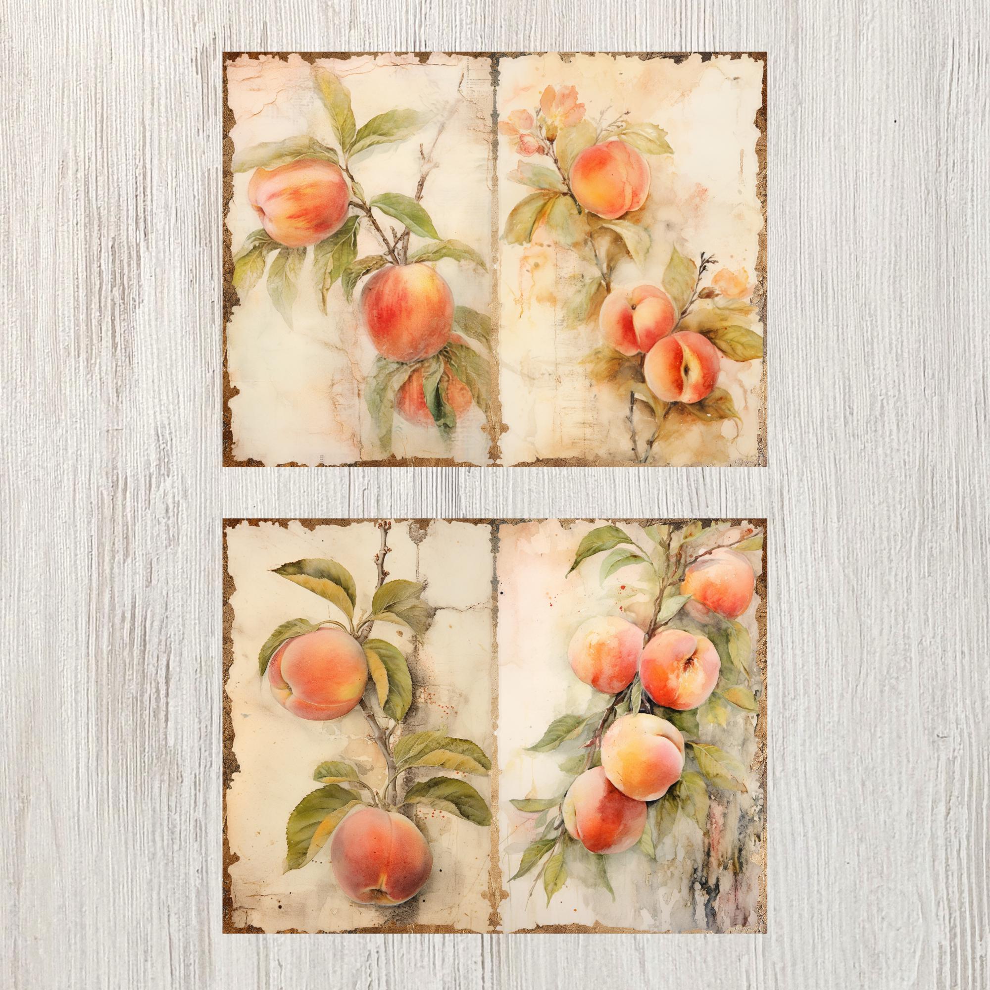Peach Junk Journal Pages Printable Vintage Paper Craft Paper for ...