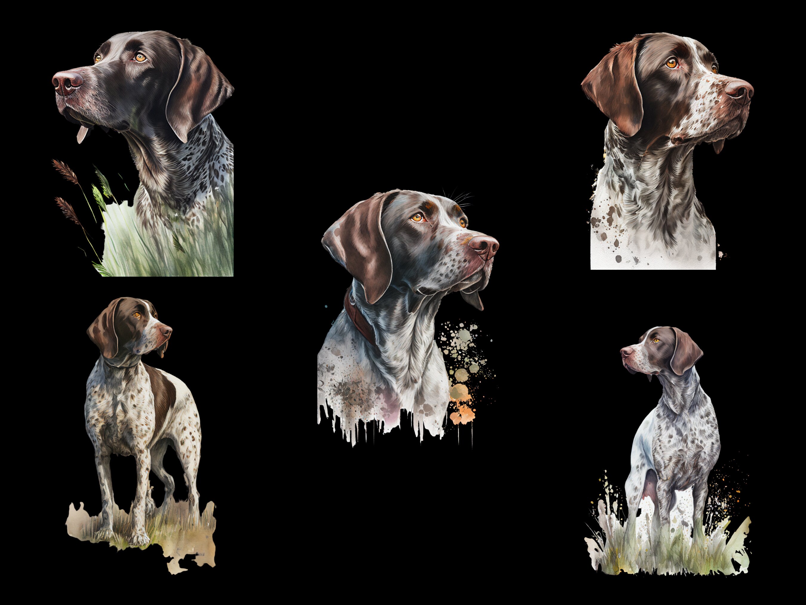 Watercolor German Pointer Clipart Bundle | German Pointer Digital ...