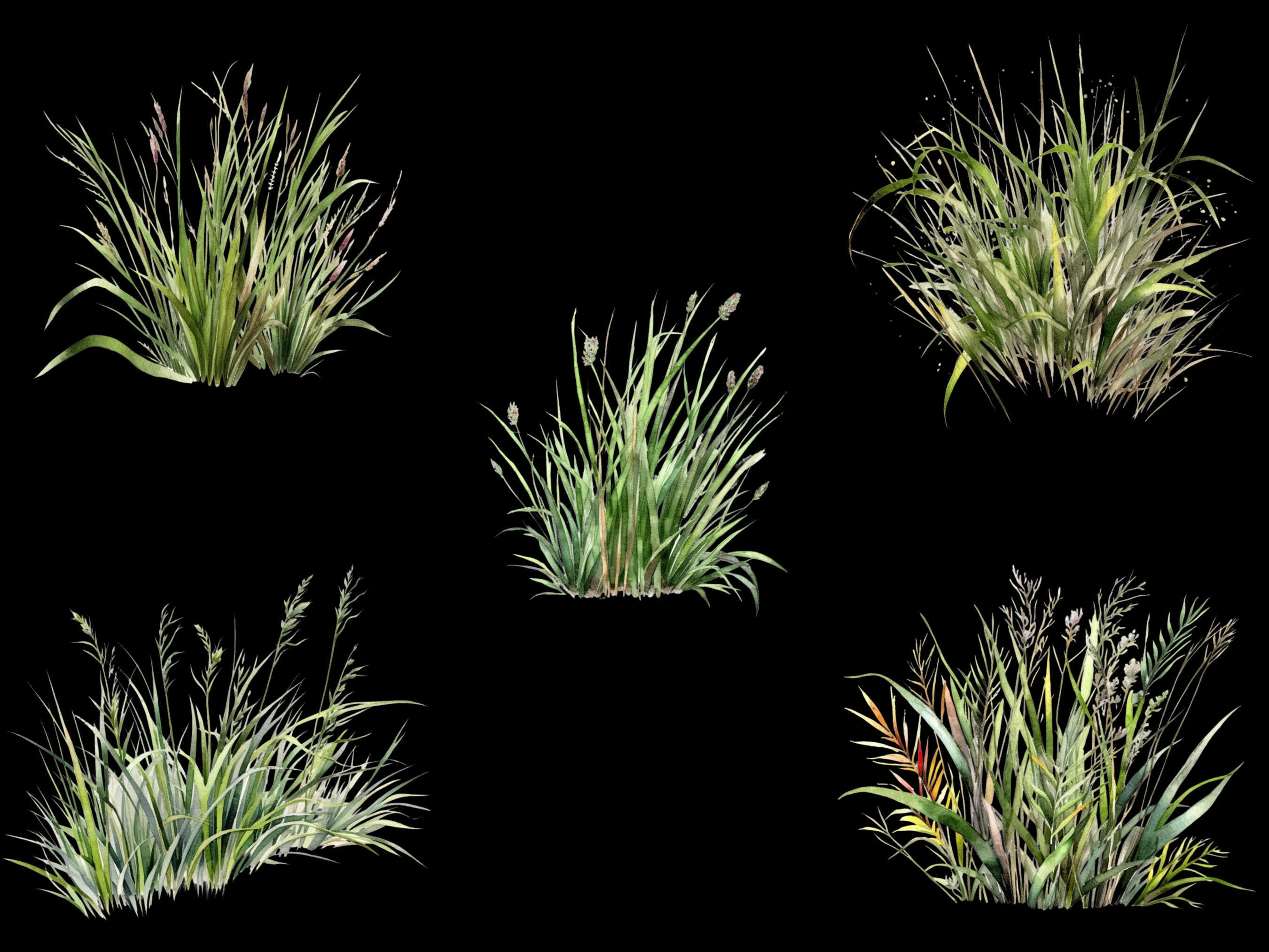 Grass Clipart Bundle Grass Sublimation Green Meadow Graphics Grass PNG ...