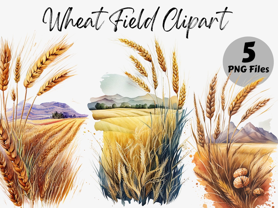 Watercolor Wheat Field Clipart | Wheat Field | Digital Images ...