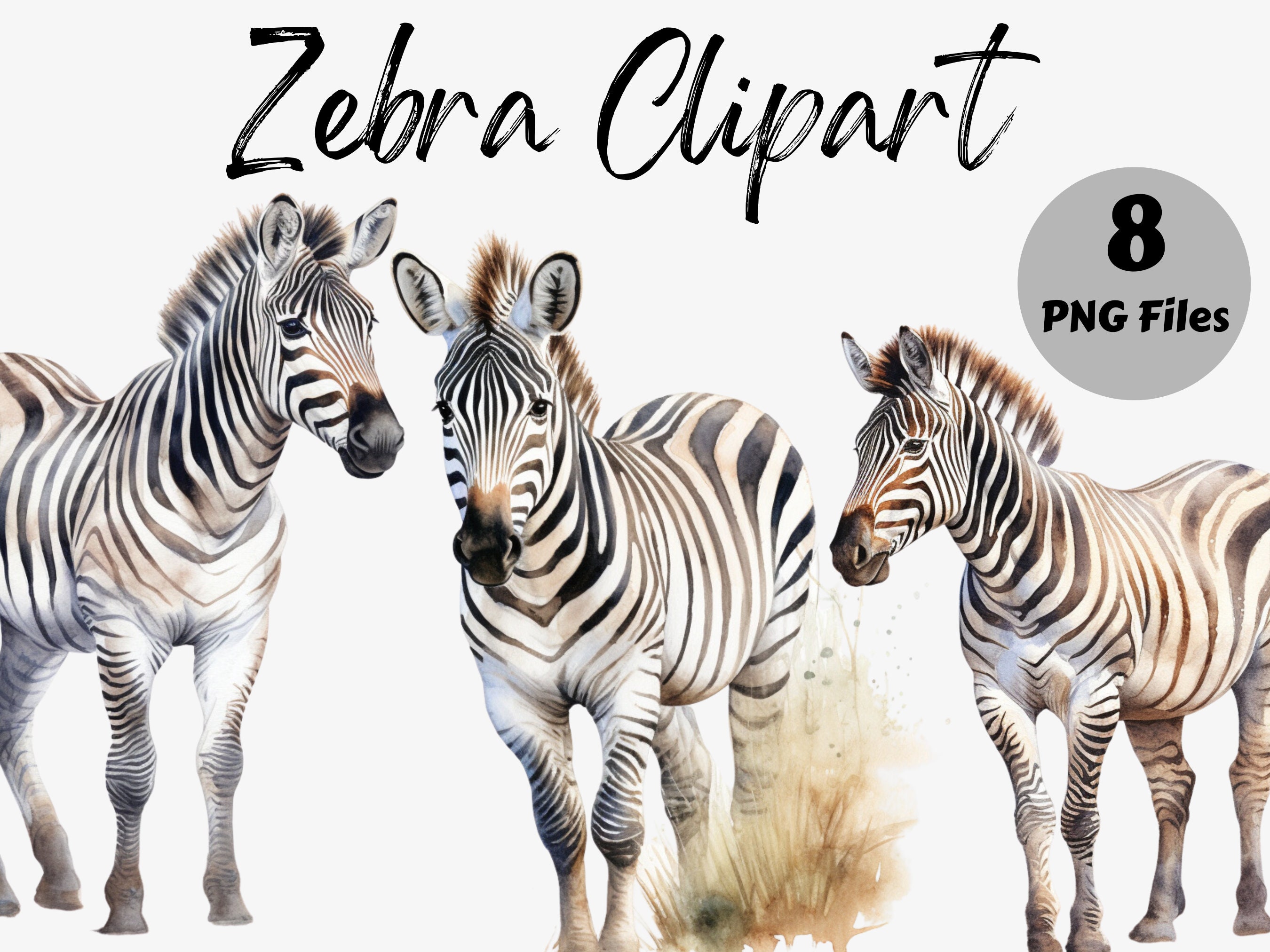 Watercolor Zebra Clipart Zebra PNG Digital Download - Etsy