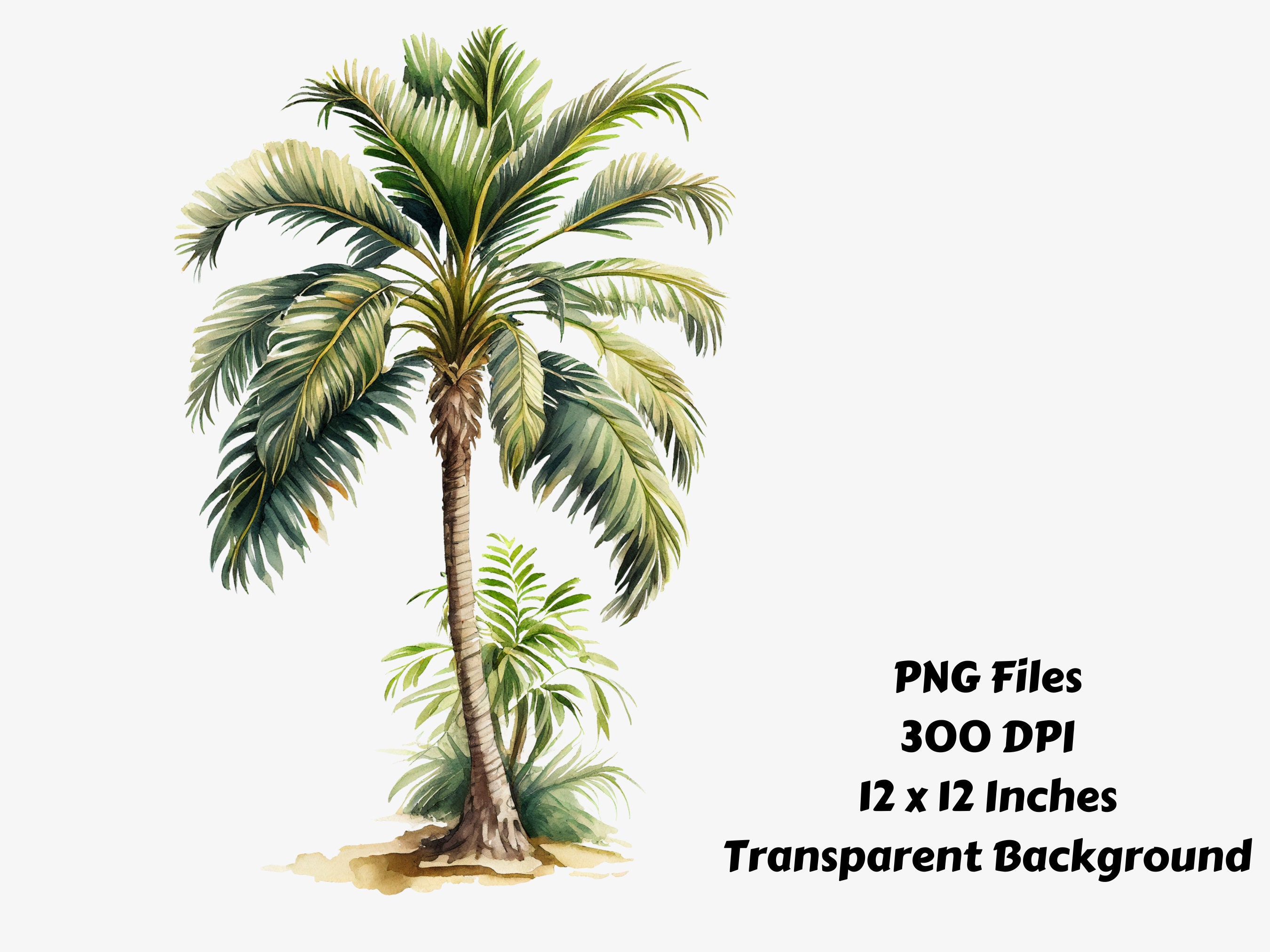 Watercolor Palm Tree Clipart Bundle | Palm Tree Digital Images | Palm ...