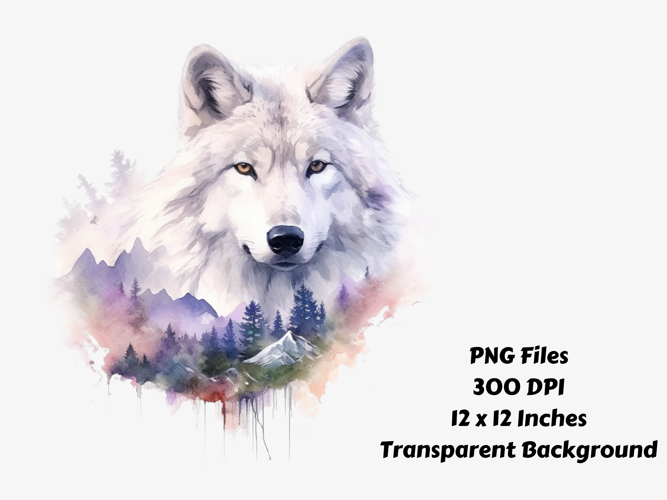 Watercolor White Wolf Clipart Bundle Watercolor Wolf PNG - Etsy