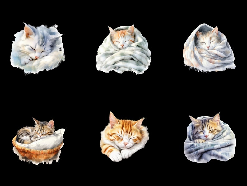 Watercolor Sleeping Cat Clipart Bundle Watercolor Cat PNG Cute Kitten ...