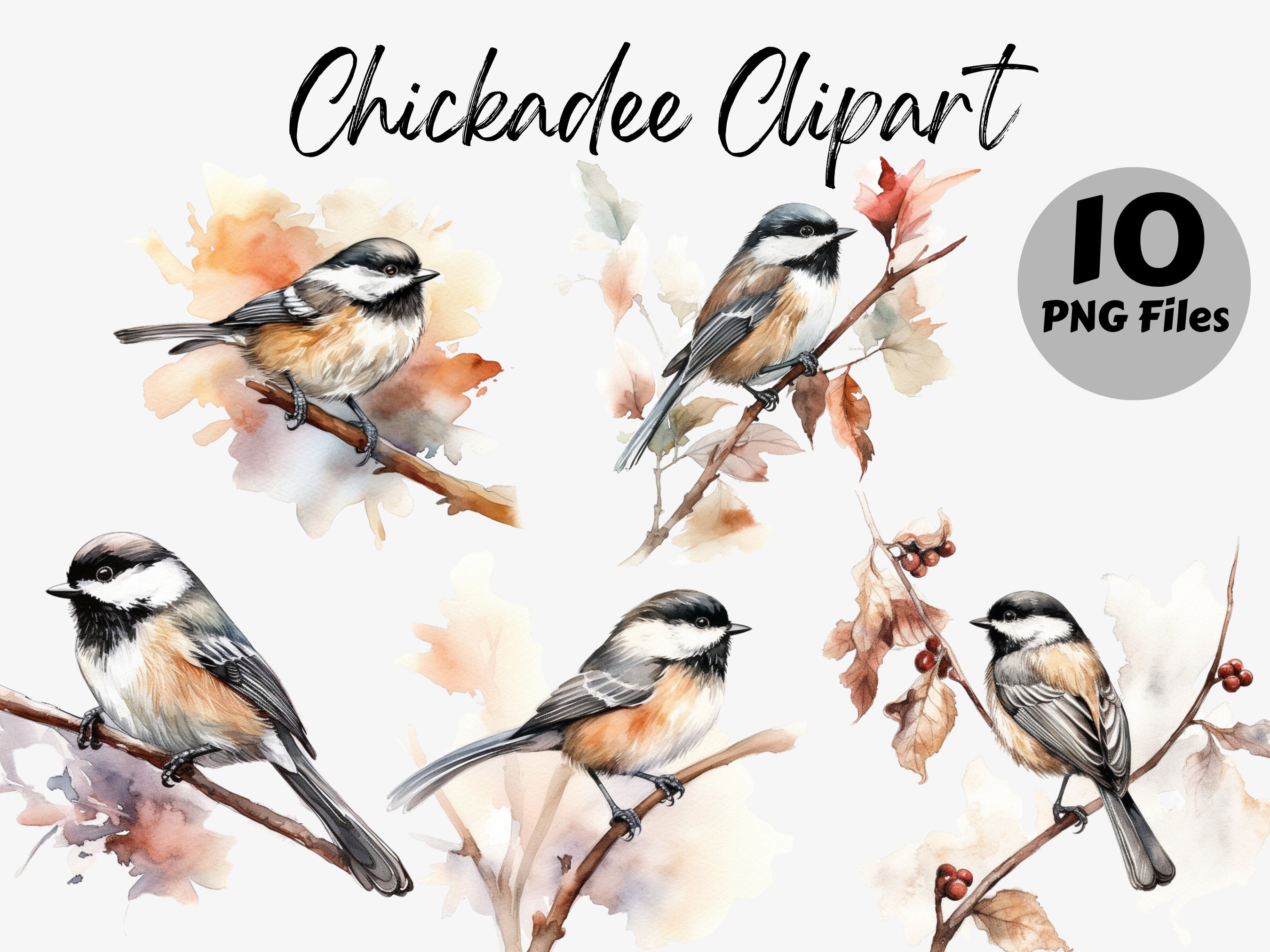 Watercolor Chickadee Clipart Bundle Chickadee Digital Images Chickadee Graphics Watercolor Bird ...