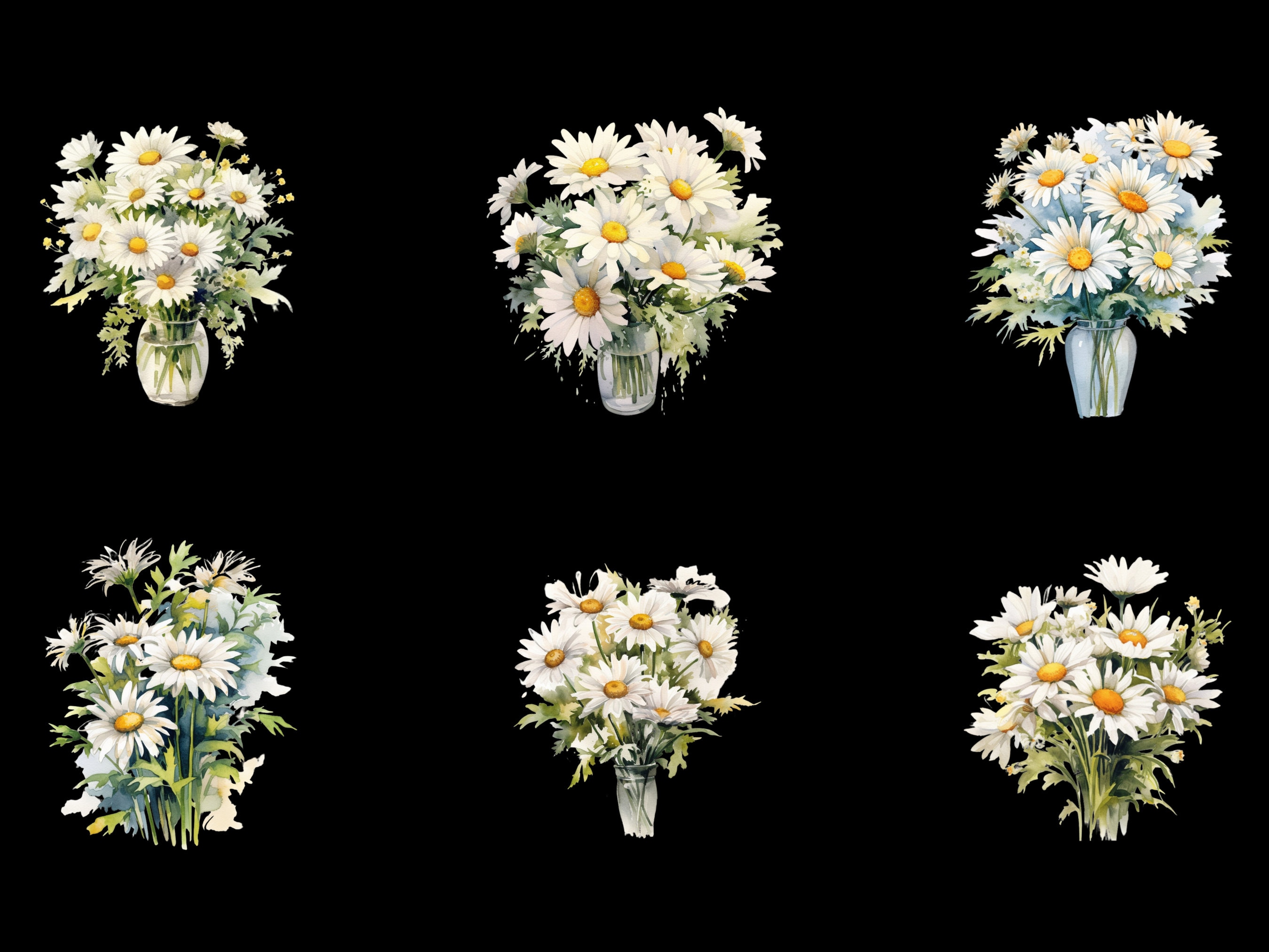 Watercolor Daisy Clipart Bundle Daisy PNG Daisy Sublimation Daisy ...