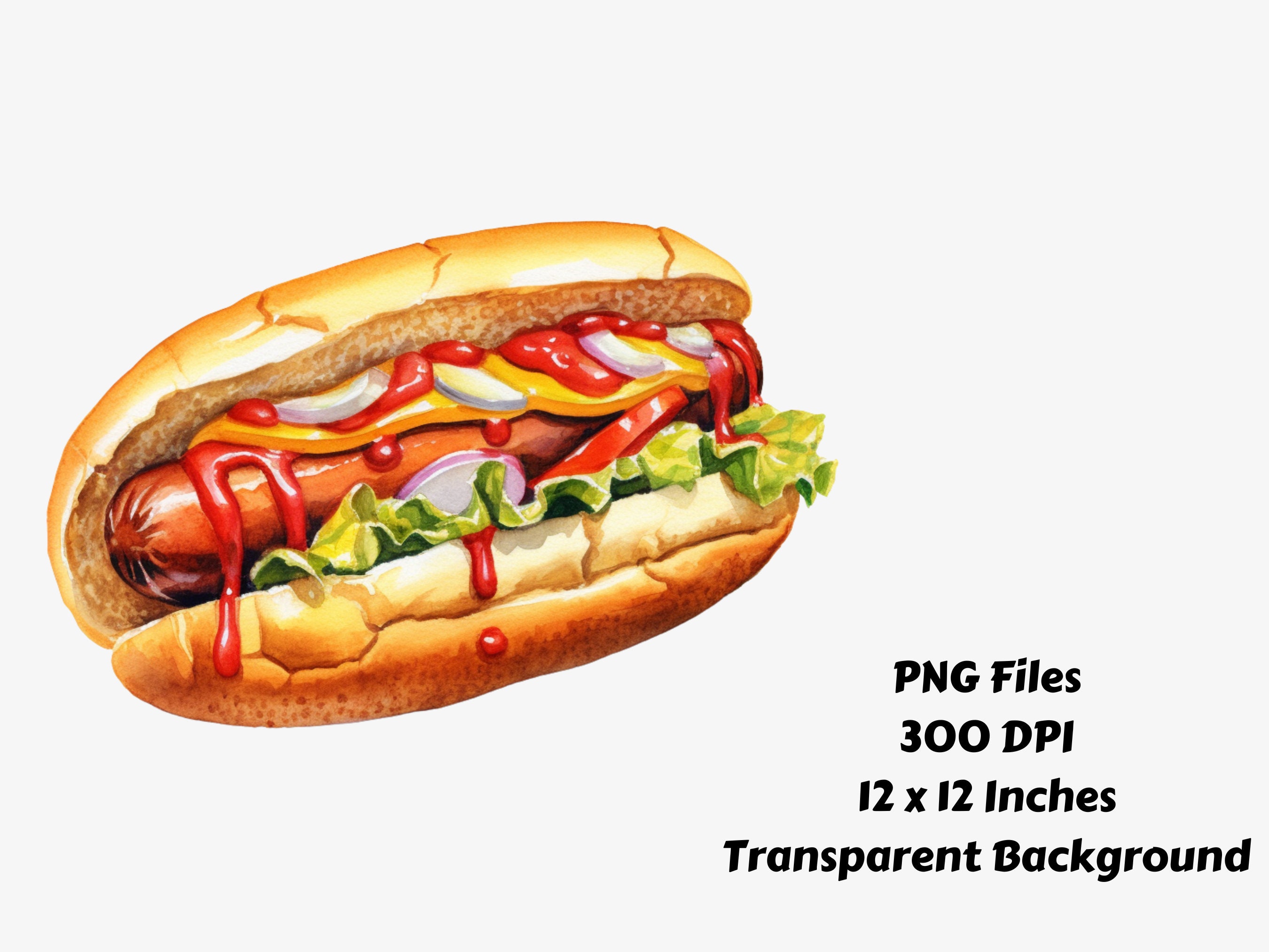 Watercolor American Hotdog Clipart Bundle Hotdog PNG Fast Food Digital ...