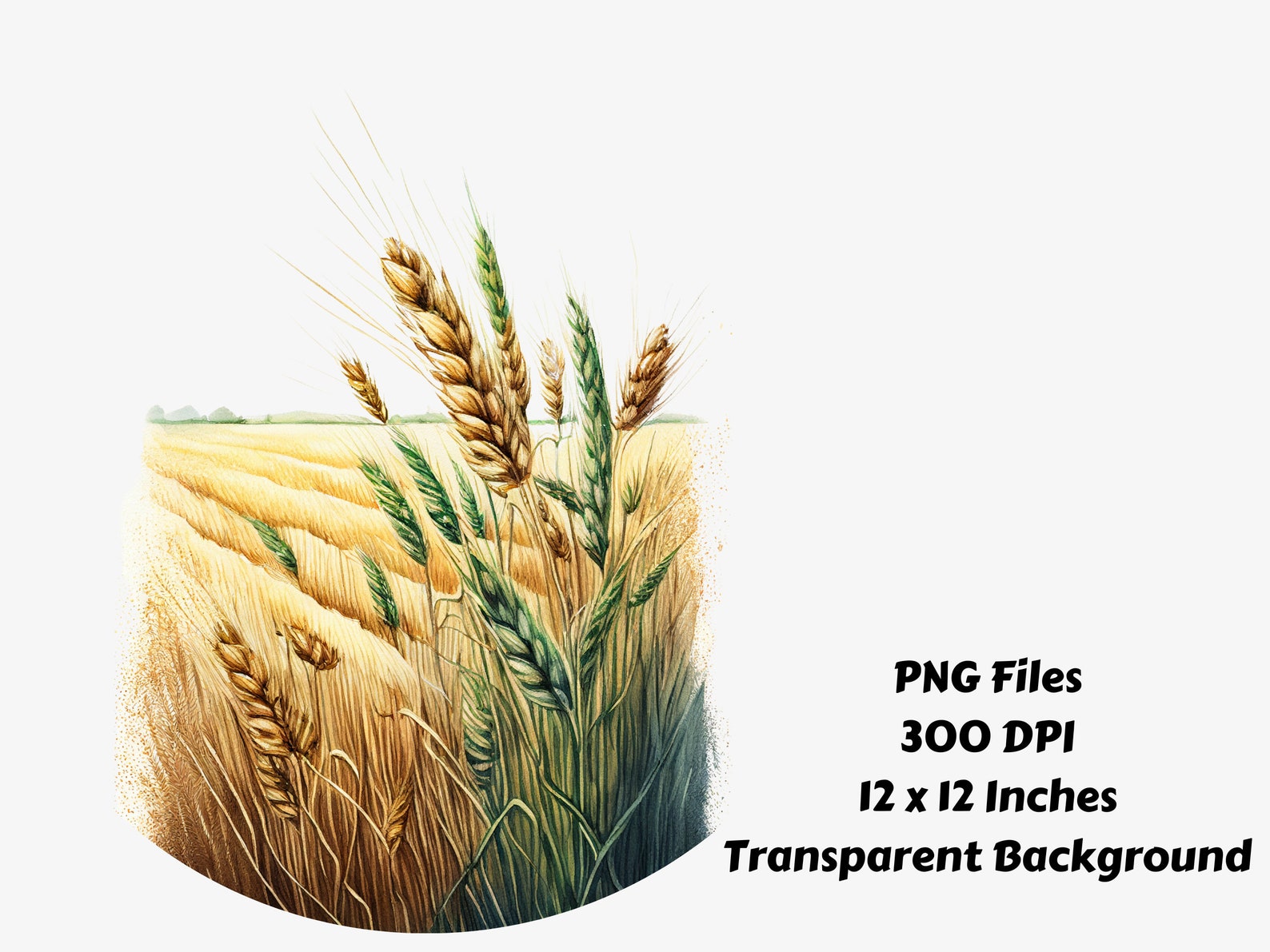 Watercolor Wheat Field Clipart Wheat Field Digital Images Graphics ...
