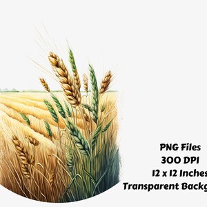 Watercolor Wheat Field Clipart | Wheat Field | Digital Images ...