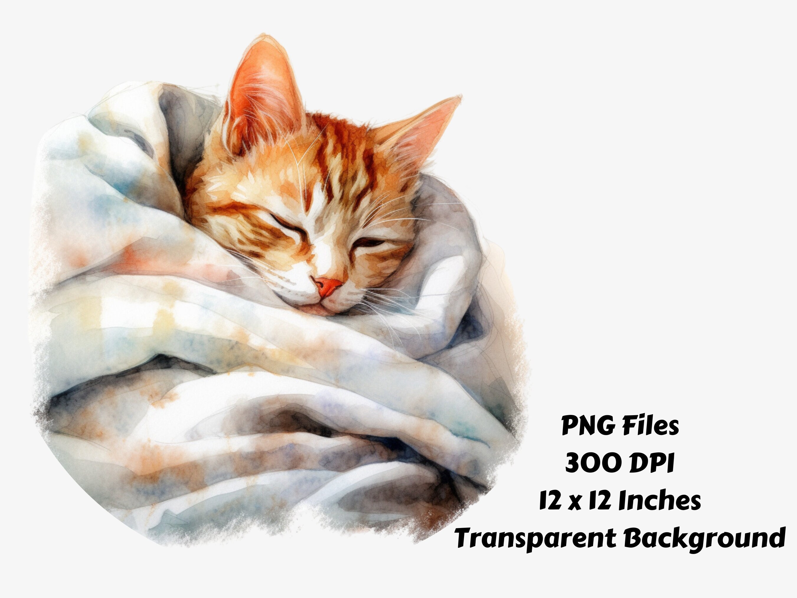 Watercolor Sleeping Cat Clipart Bundle Watercolor Cat PNG Cute Kitten ...