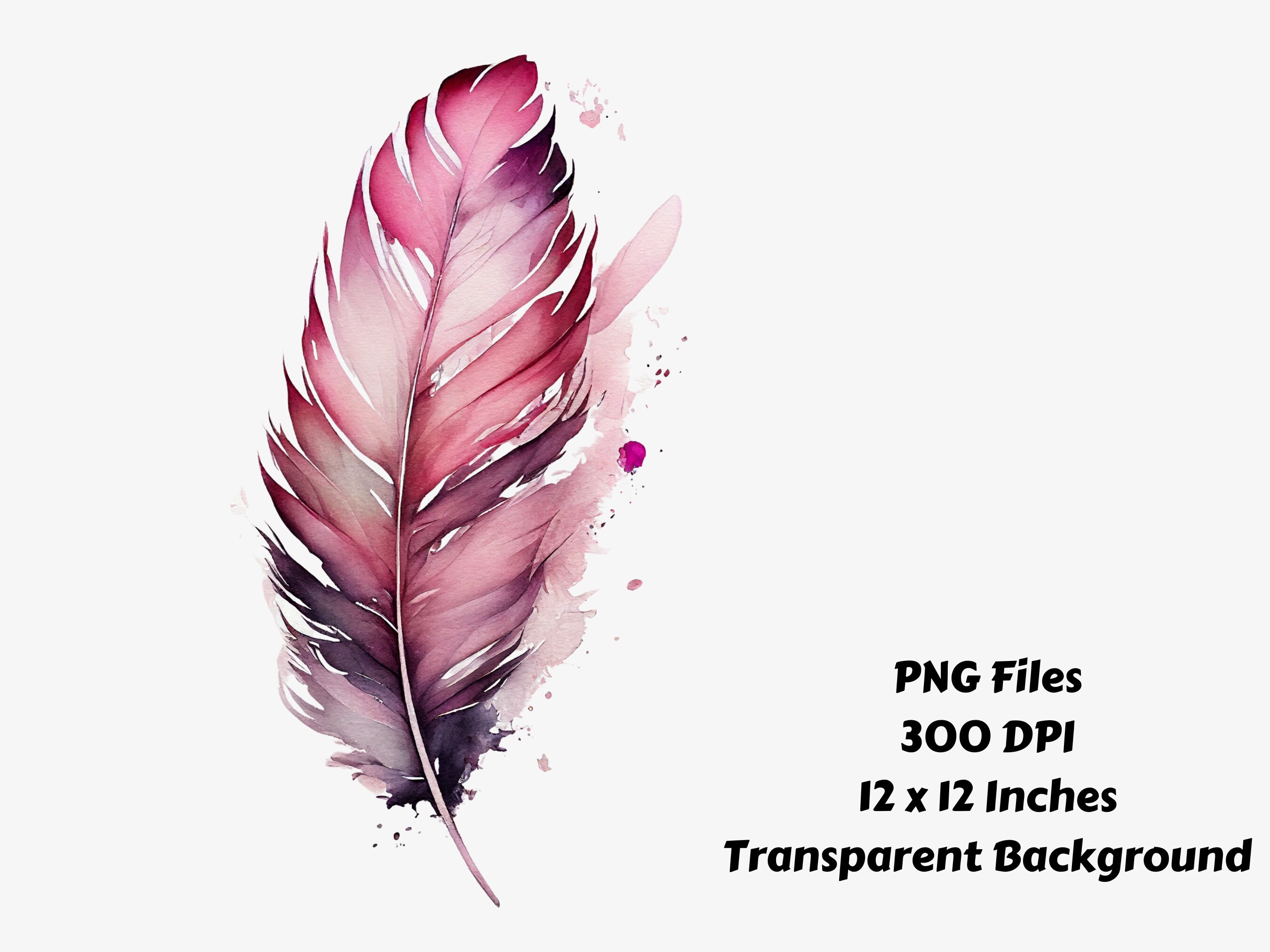 Watercolor Pink Feather Clipart Bundle Feather Digital Images Pink ...