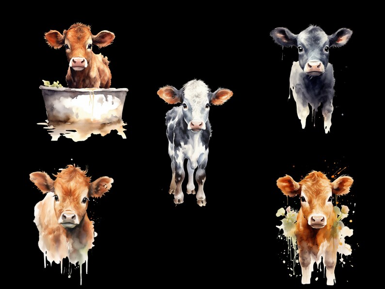 Watercolor Calf Clipart Bundle Calf Digital Images Animal Graphics Calf ...