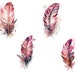 Watercolor Pink Feather Clipart Bundle Feather Digital Images Pink ...