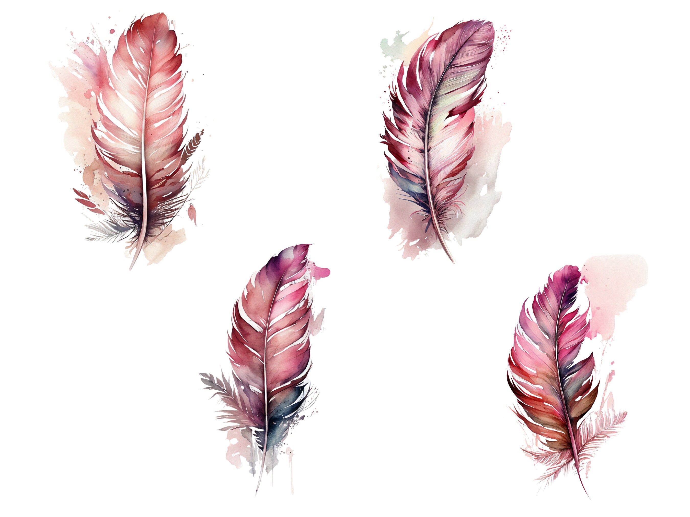 Watercolor Pink Feather Clipart Bundle Feather Digital Images Pink ...