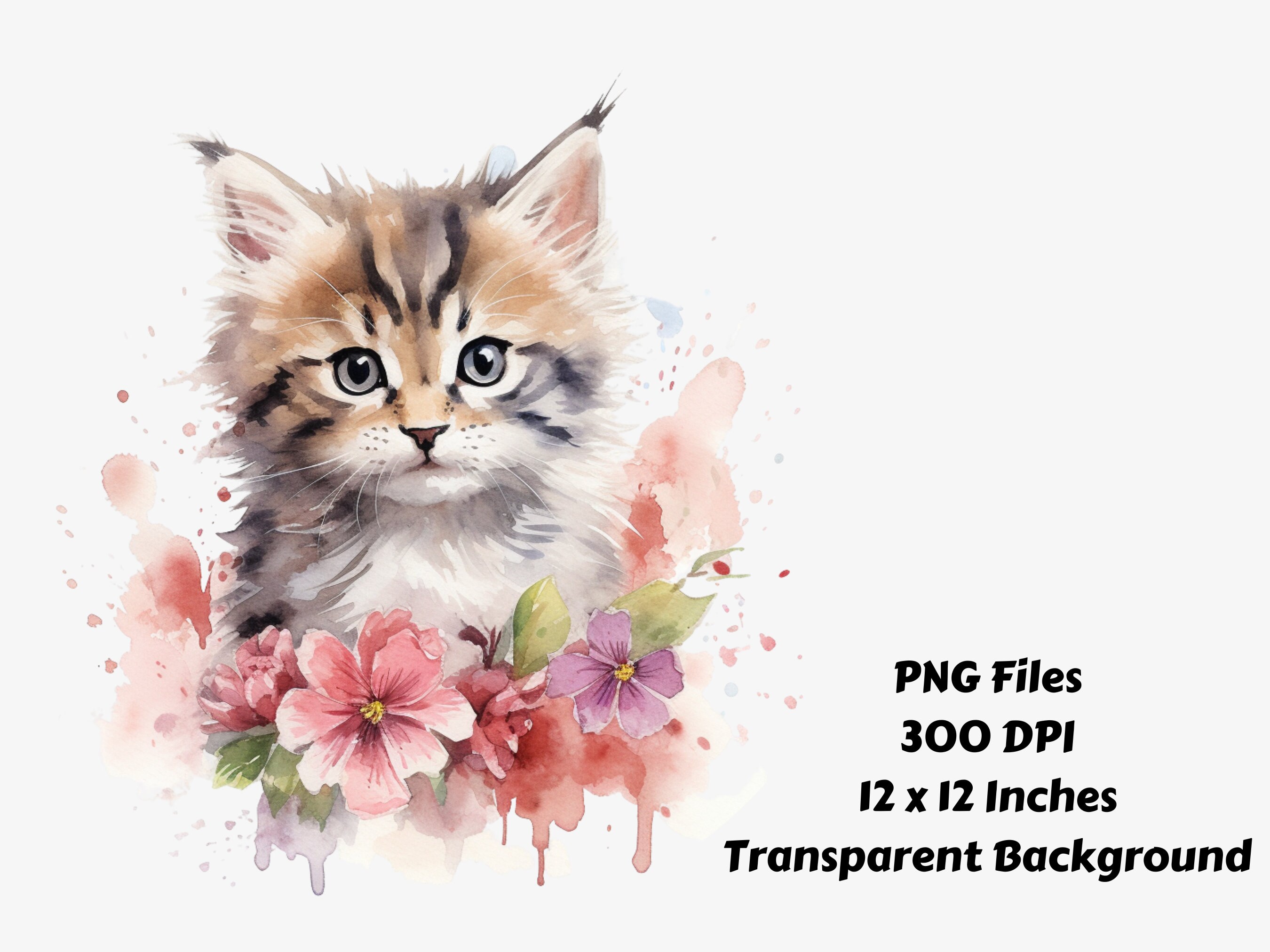Watercolor Floral Kitten Clipart Sublimation Kitten PNG - Etsy