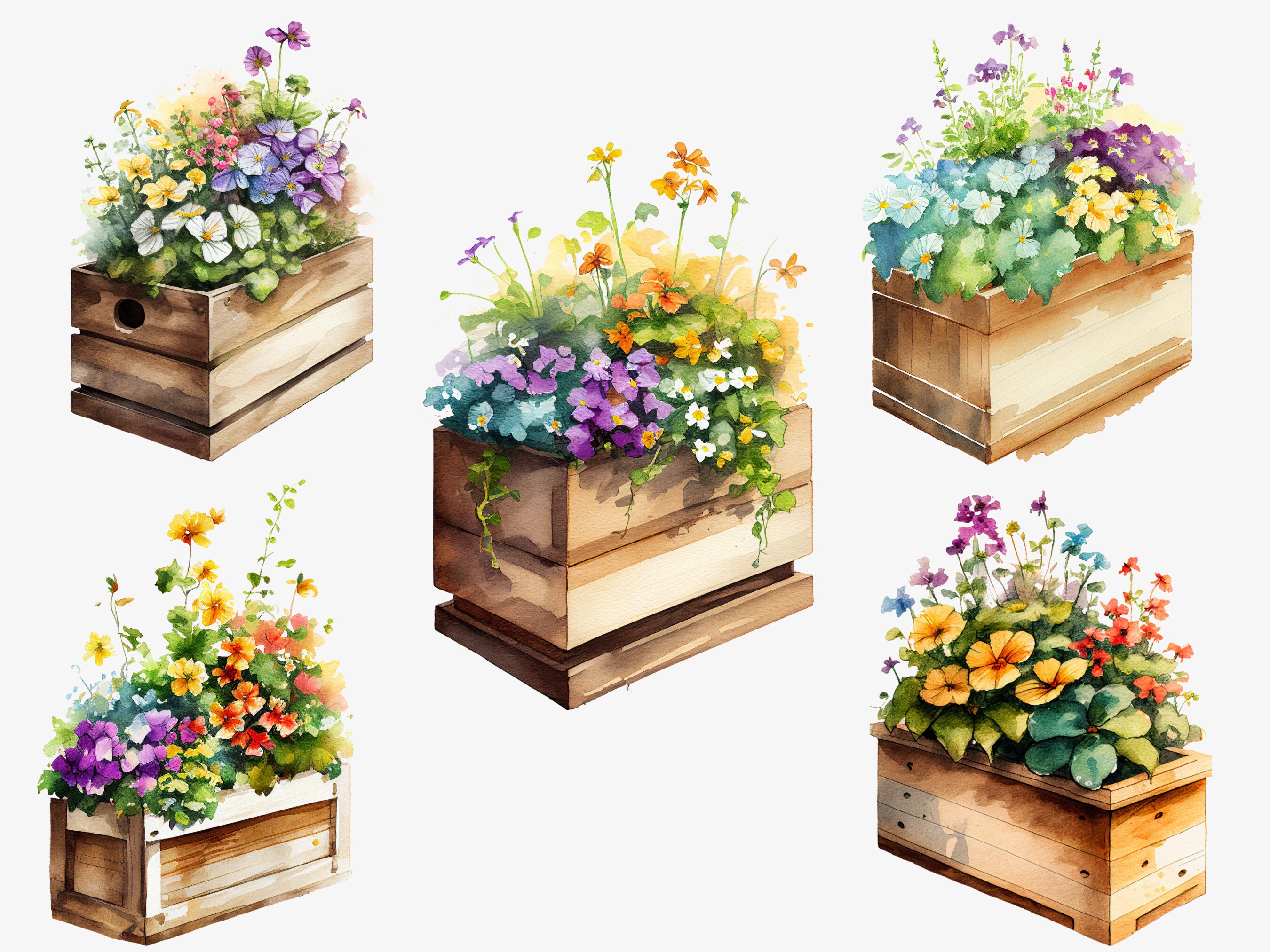 Watercolor Planter Box Clipart Bundle Planter Box Digital Images ...
