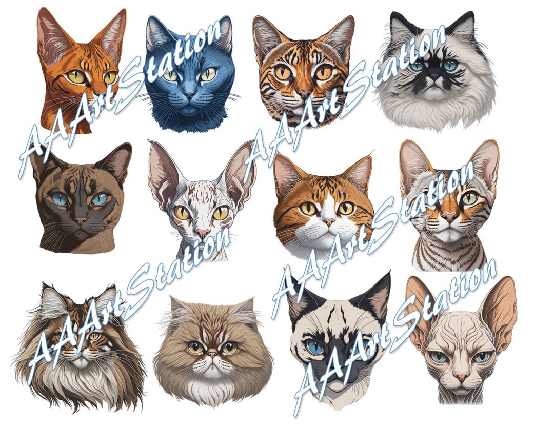12 Various Cat Head Shots in PNG Format - Etsy
