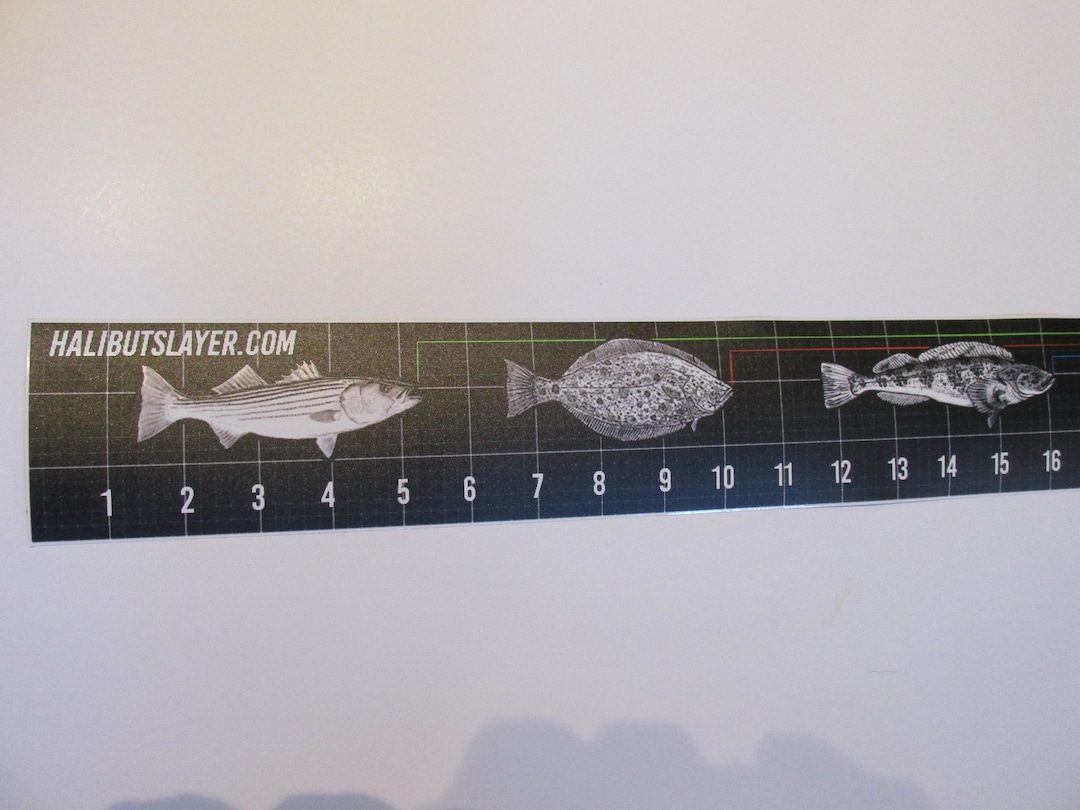 California Current Fish Ruler Measuring Tape Decal Sticker Size Limit ...