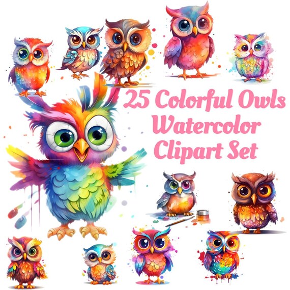Spring Owl Clipart