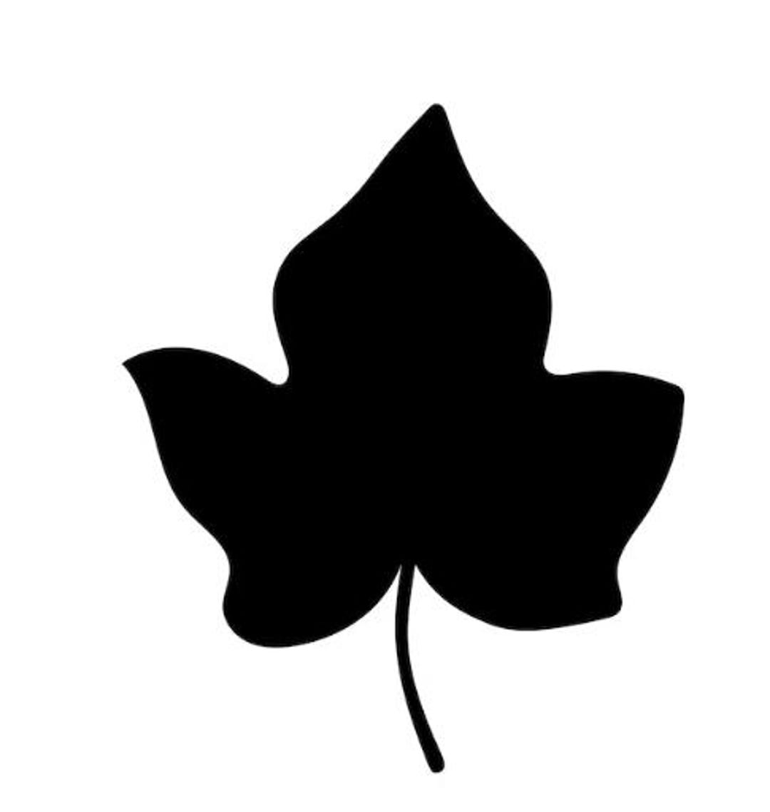 Ivy Leaf Svg File, Ivy Leaf Cut File for Cricut, Ivy Leaf Silhouette ...