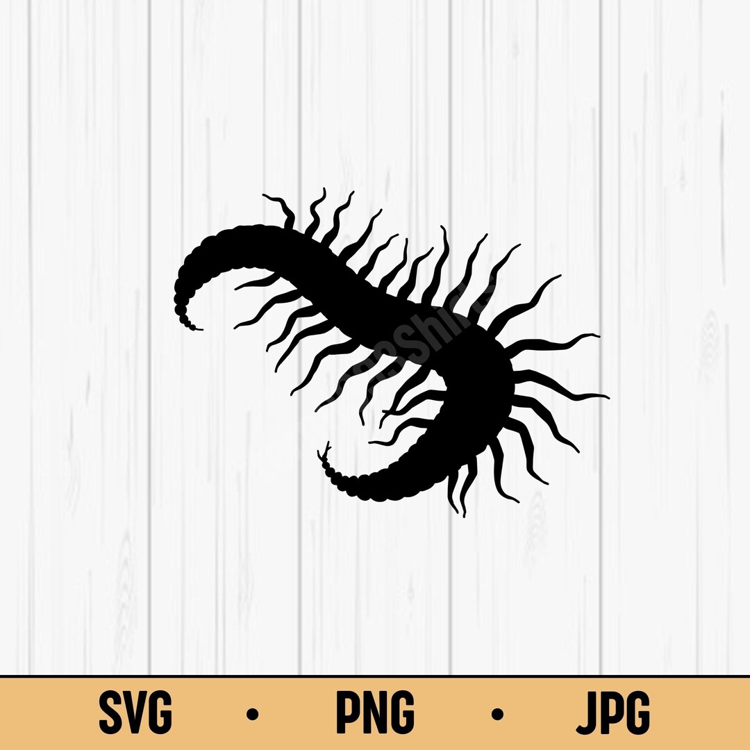 Centipede Silhouette SVG PNG JPG – Creepy Crawly Insect Vector, Digital ...