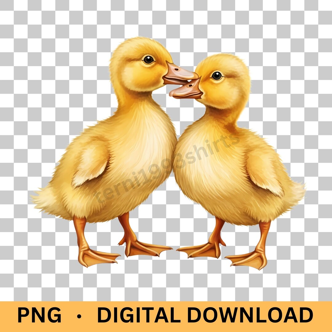 Adorable Baby Ducklings PNG Watercolor Yellow Ducks Clipart Farm Animal ...